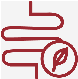 Sigma Life Sciences SiderAL® Sucrosomial® Iron Store